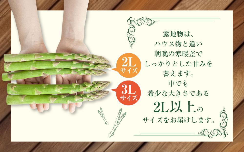 【2025年発送先行予約】露地物朝採りアスパラ 鮮度保持フィルム入り 2～3L 500g×2 合計1kg_03817: 旭川市ANAのふるさと納税