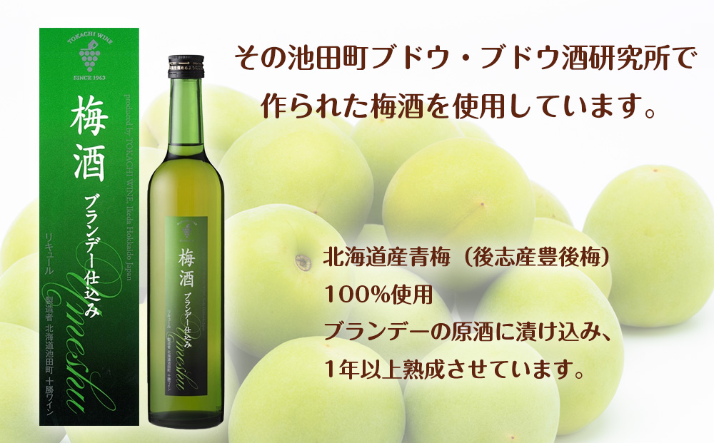 ブランデー梅酒ソーダ 350ml 24本 セイコーマート セコマ Secoma 池田町 ギフト 酒 リキュール 梅酒