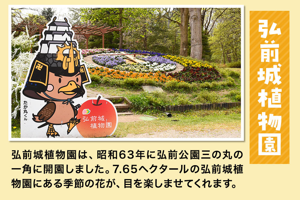 3施設共通通年券と博物館招待券 弘前城（本丸・北の郭）・弘前城植物園・藤田記念庭園 【チケット 入場券 優待券】: 弘前市ANAのふるさと納税 ...