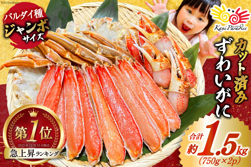 カット済 ずわいがに むき身セット 総重量1.5kg(750g×2p) かにしゃぶ かに鍋 正味重量1.2kg [カネダイ 宮城県 気仙沼市 20564319] かに カニ ずわいがに ずわい ...