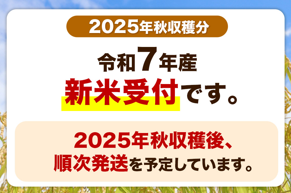 【新米受付】【令和7年産・白米】宮城県栗原市産 だて正夢 5kg (5kg×1袋): 栗原市ANAのふるさと納税｜ANAのマイルが「使える」