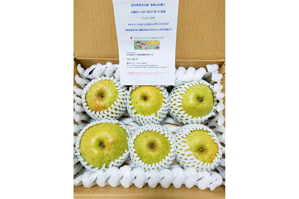 【先行受付】9月中旬より発送 かおり約3kg（5～8玉）かおり梨 大玉品種 青梨 和梨 秋田県横手市: 横手市ANAのふるさと納税｜ANAのマイルが「貯まる」