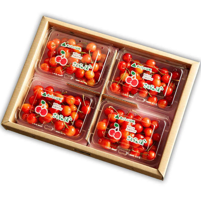 山形のさくらんぼ 佐藤錦 720g(180g×4パック) 2Lサイズ以上 【令和8年産先行予約】FS25-517: 山形市ANAのふるさと納税｜ANAのマイルが「使える」