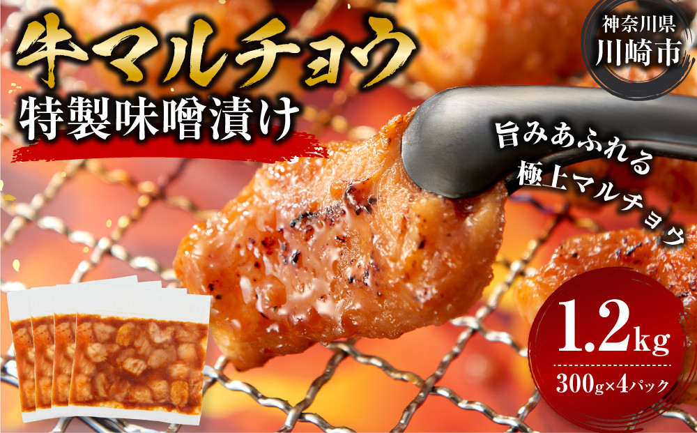 ＜訳アリ＞牛マルチョウ 特製味噌漬け 1.2kg(300g×4）【2026年10月発送】: 川崎市ANAのふるさと納税｜ANAのマイルが「使える」