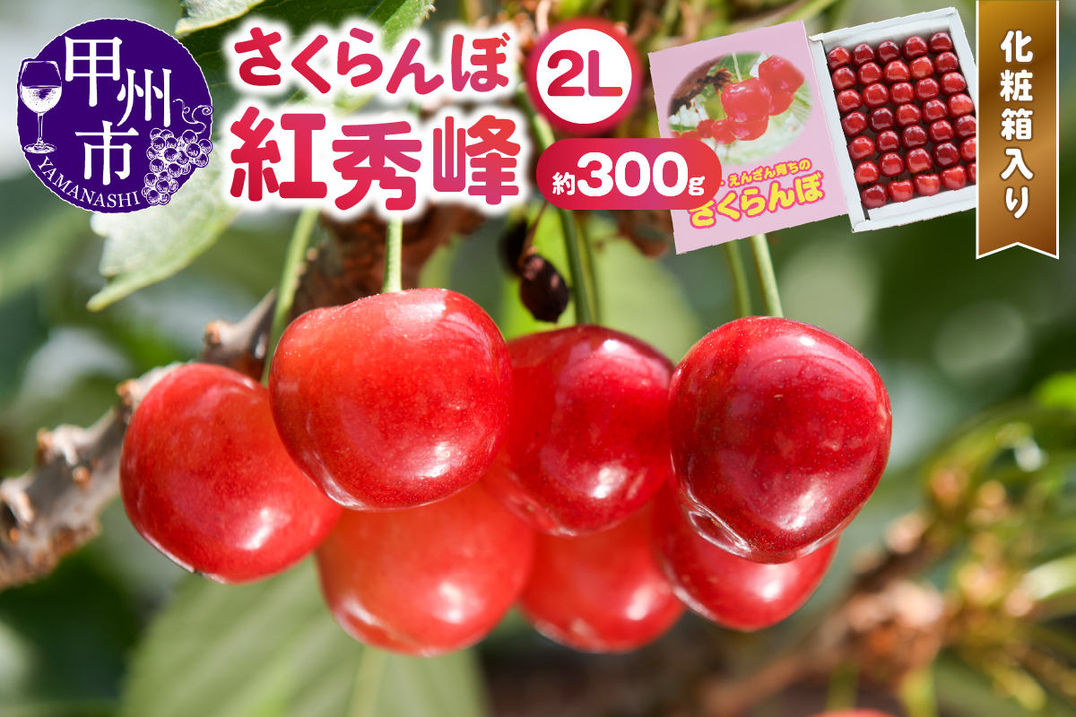 甲州市産大粒さくらんぼ童夢の「紅秀峰」化粧箱（約300g 2Lサイズ）【2025年発送】（DOM）B12-141: 甲州市ANAのふるさと納税｜ANAのマイルが「使える」