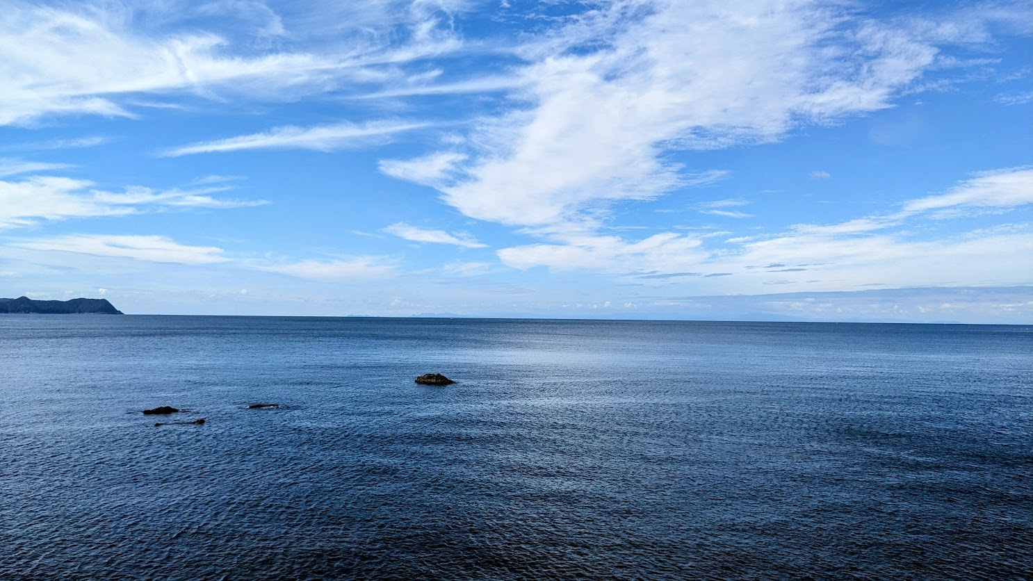 M144 【冷蔵】釜揚げしらす 紀州湯浅 まるとも海産: 和歌山県ANAのふるさと納税｜ANAのマイルが「貯まる」