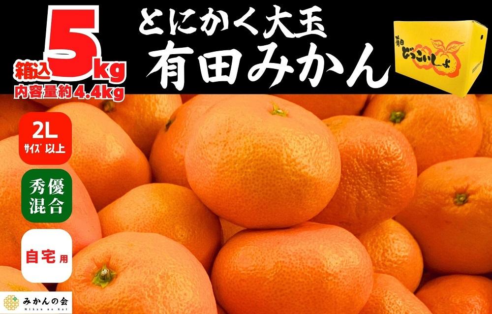 みかん 大玉 どっこいしょ 箱込 5kg ( 内容量約 4.4kg ) 2Lサイズ以上 秀品 優品 混合 有田みかん 和歌山県産 産地直送 家庭用[2025年11月中旬より2026年1月中旬頃 ...
