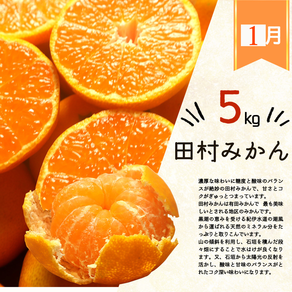 【3か月定期便】人気のみかんを集めた！旬の柑橘定期便 / みかん ミカン 柑橘 オレンジ 果物 くだもの フルーツ フルーツ定期便 和歌山【tkb111】: すさみ町ANAのふるさと納税 ...