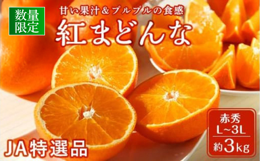 【先行受付】JA特選品 紅まどんな（赤秀L～3L 約3kg）: 松山市ANAのふるさと納税｜ANAのマイルが「貯まる」