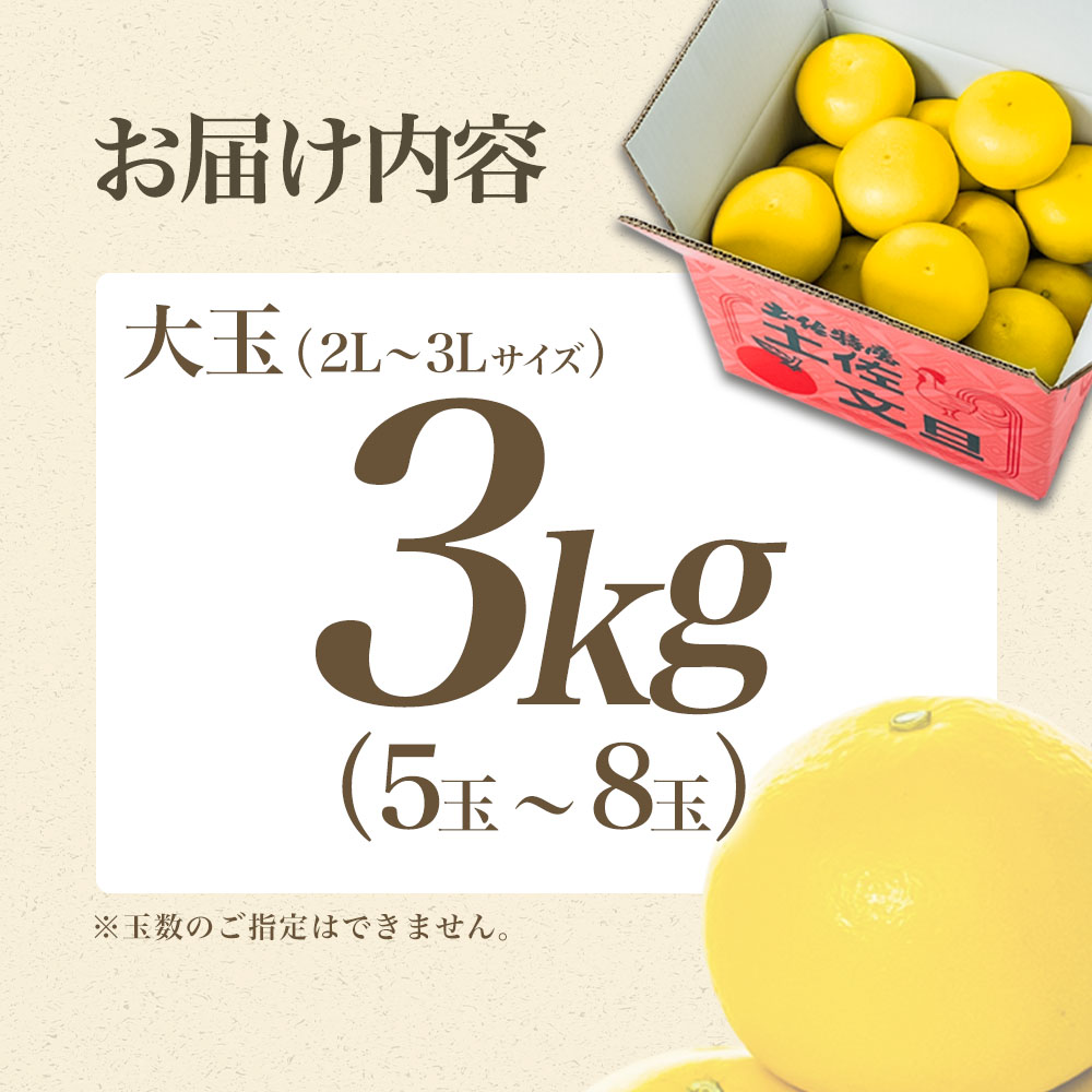 【日本ギフト大賞2024受賞】先行予約 園主こだわり土佐文旦【 大玉3kg】（3L～2L） 2026年1月下旬より順次発送 ぶんたん ブンタン 柑橘 フルーツ 果物 贈答 ギフト 土佐 高知 ...