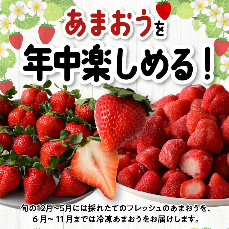【いちごの年間定期便】 あまおう 約560g（約280g×2パック）× 12月～5月まで計6回 冷凍あまおう 1000g（500g×2パック）×6月～11月まで計6回 毎月発送 イチゴ ...