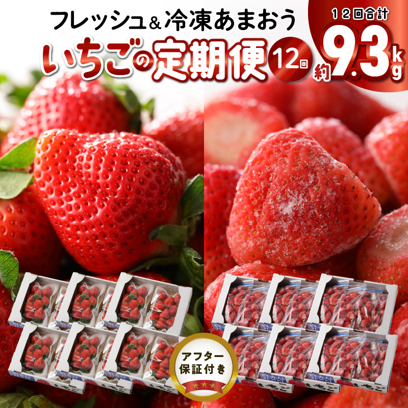 【いちごの年間定期便】 あまおう 約560g（約280g×2パック）× 12月～5月まで計6回 冷凍あまおう 1000g（500g×2パック）×6月～11月まで計6回 毎月発送 イチゴ ...