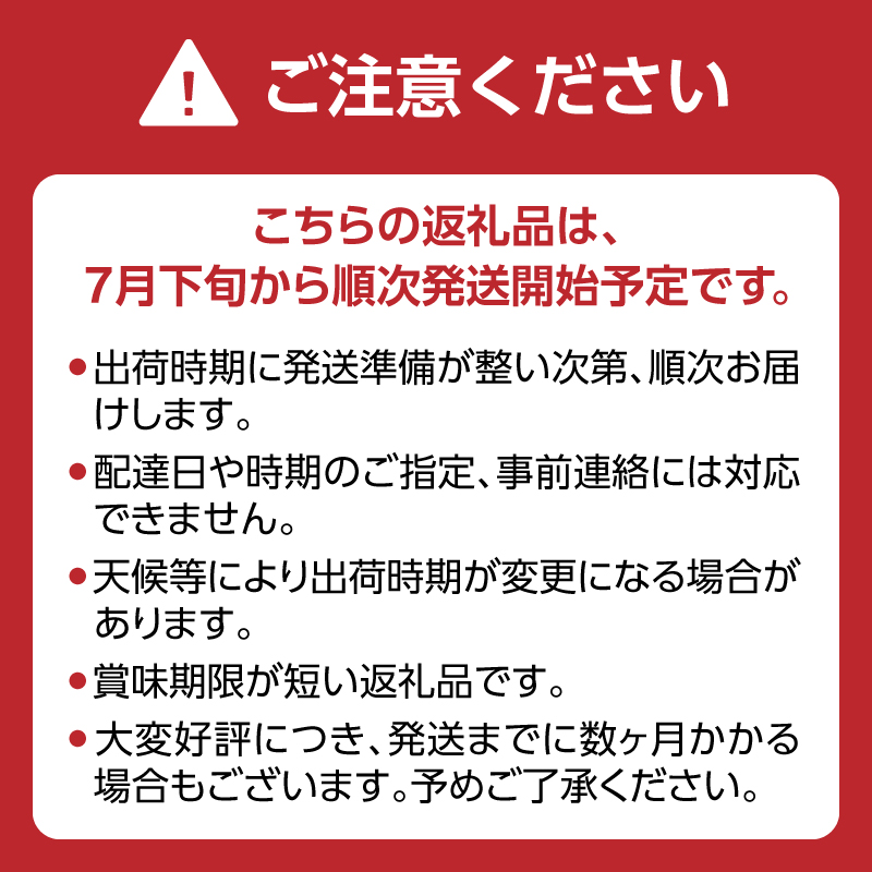 【先行受付】幸水梨（5kg）【JAふくおか八女】｜2026年7月下旬～発送予定 梨 なし 幸水 幸水梨 フルーツ 果物 くだもの みずみずしい 爽やか 甘い シャリシャリ食感 産地直送 ...