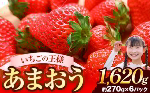 ★2026年出荷分★【先行予約】福岡県産あまおう いちご 1620g (約270g×6パック) 【着日指定不可】《2月中旬-4月末頃出荷予定》 福岡県 イチゴ フルーツ 特産品---kr ...