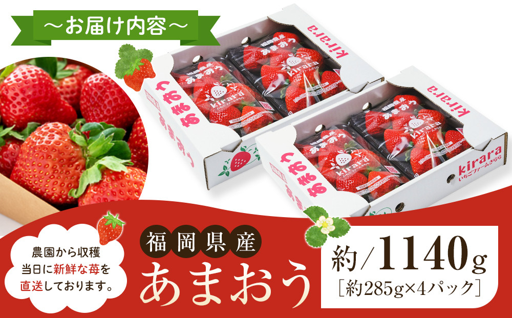 【先行予約 2026年1月以降発送】ふくおかエコ農産物認証!! あまおう 約1140g 約285g×4パック ＜筑前町＞: 筑前町ANAのふるさと納税｜ANAのマイルが「使える」