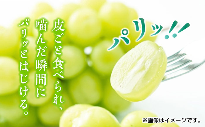 【先行予約】【数量限定】シャインマスカット 約1.2kg2～3房 ぶどう 種なし【合同会社 福福堂】 [ZCN006]: 山鹿市ANAのふるさと納税｜ANAのマイルが「貯まる」