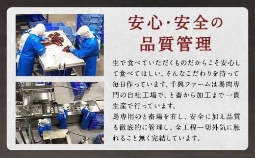 【順次発送】6種 馬肉 バラエティ セット 約540g 食べ比べ 馬刺 馬刺し タレ付き: 高森町ANAのふるさと納税｜ANAのマイルが「使える」
