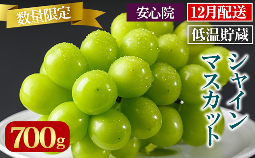 貯蔵シャインマスカット(700g)シャインマスカット ぶどう 葡萄 フルーツ 果物 くだもの 果実＜先行予約受付中 2025年12月上旬から順次発送予定＞＜北海道 沖縄 離島配送不可 ...