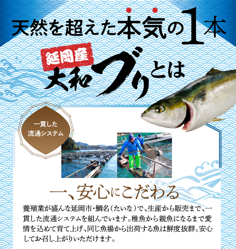 天下無双 大和ブリの照り焼き N072-YA2257: 延岡市ANAのふるさと納税｜ANAのマイルが「貯まる」