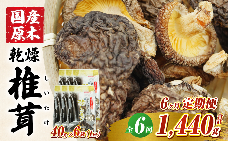 【6ヶ月定期便】乾燥しいたけ 240g（40g×6袋）×6回 1,440g | しいたけ 定期便 定期 定期的 国産 宮崎県産 原木 栽培 干し椎茸 原木椎茸 国産しいたけ 小分け 袋 小袋 ...